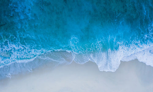 Synto -React Typescript Tailwind Admin Template