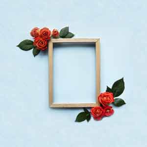 Ynex - React Typescript TailwindCss Admin Dashboard Template